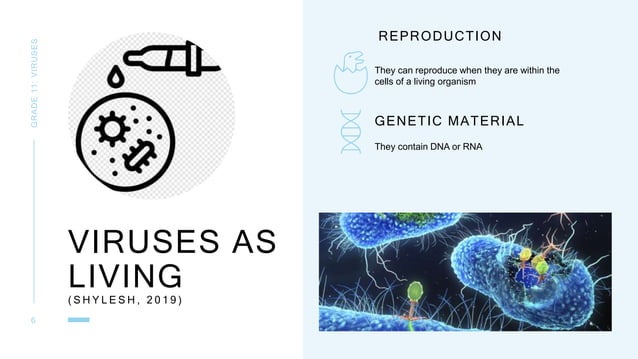 GRADE 11 - VIRUSES.pptx