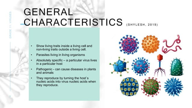 GRADE 11 - VIRUSES.pptx