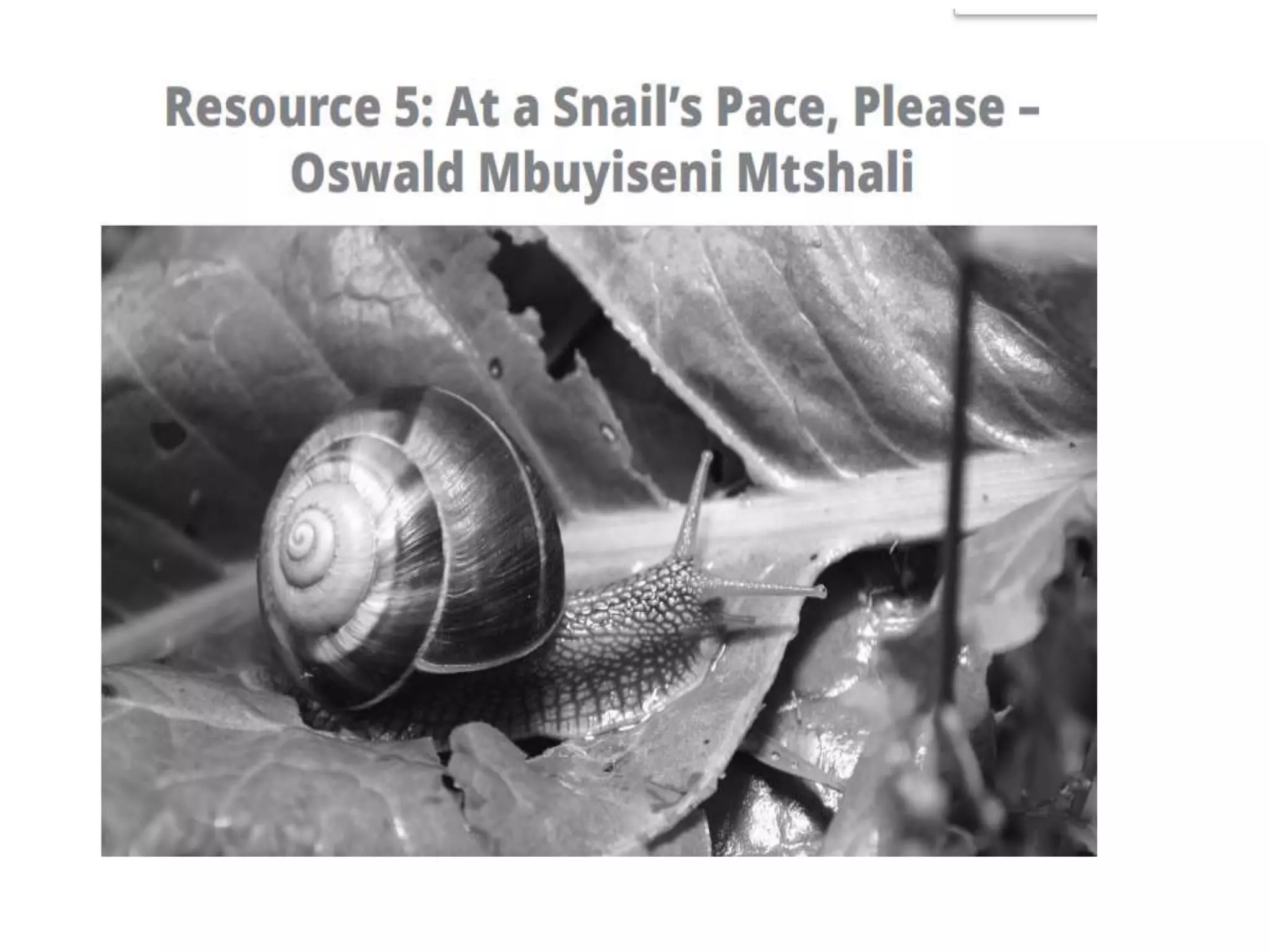 At a snail's pace please! by Mbuyiseni Mtshali | PPTX