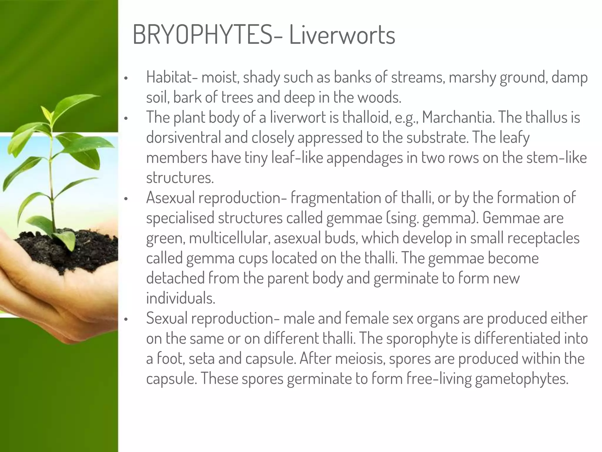 Grade 11 biology plant kingdom | PPTX