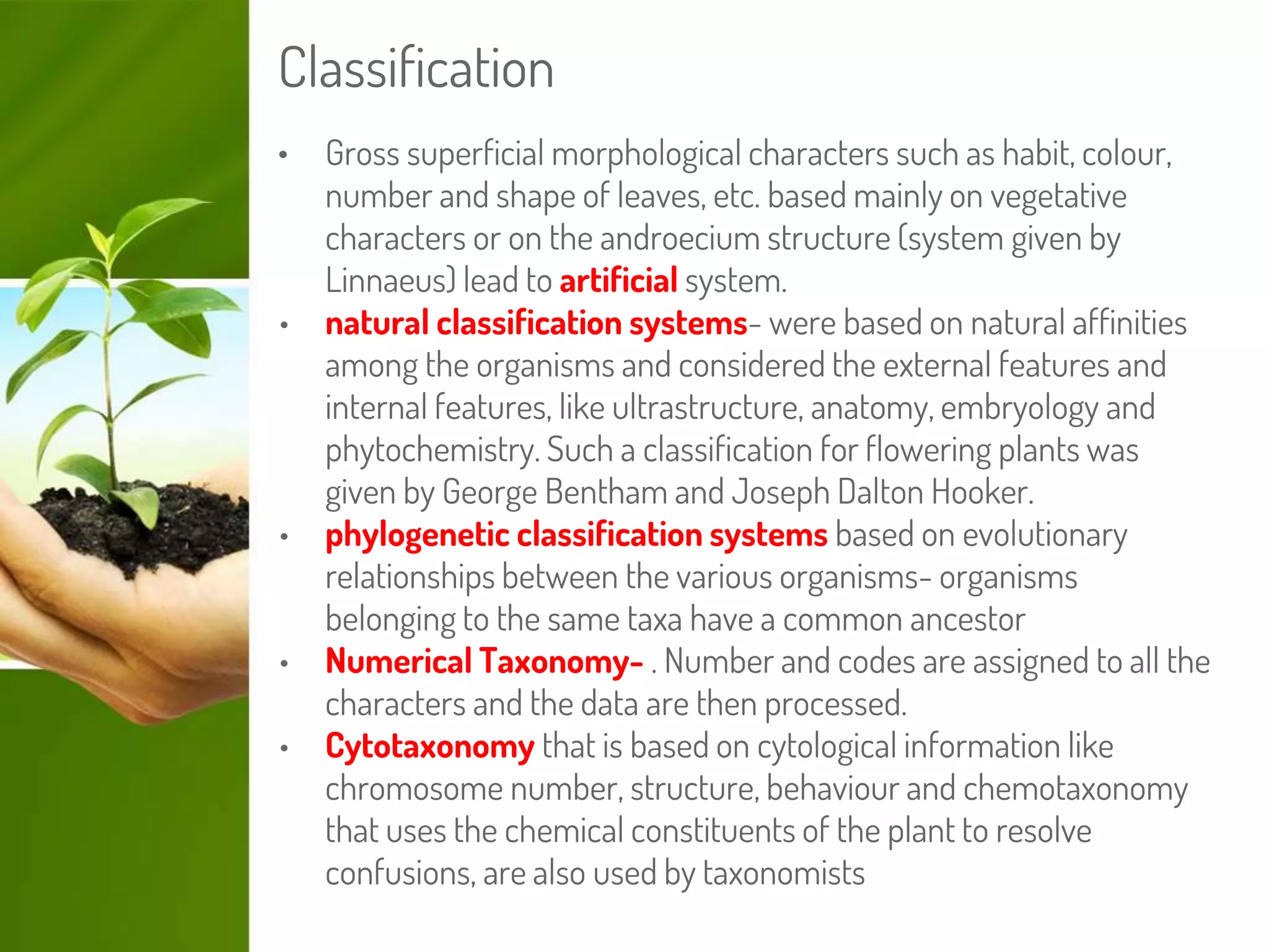 Grade 11 biology plant kingdom | PPTX