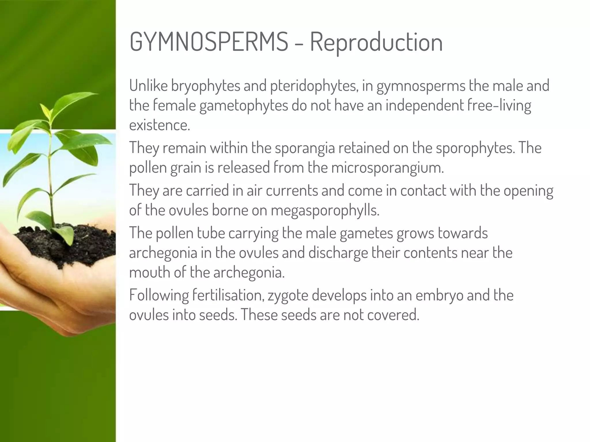 Grade 11 biology plant kingdom | PPTX