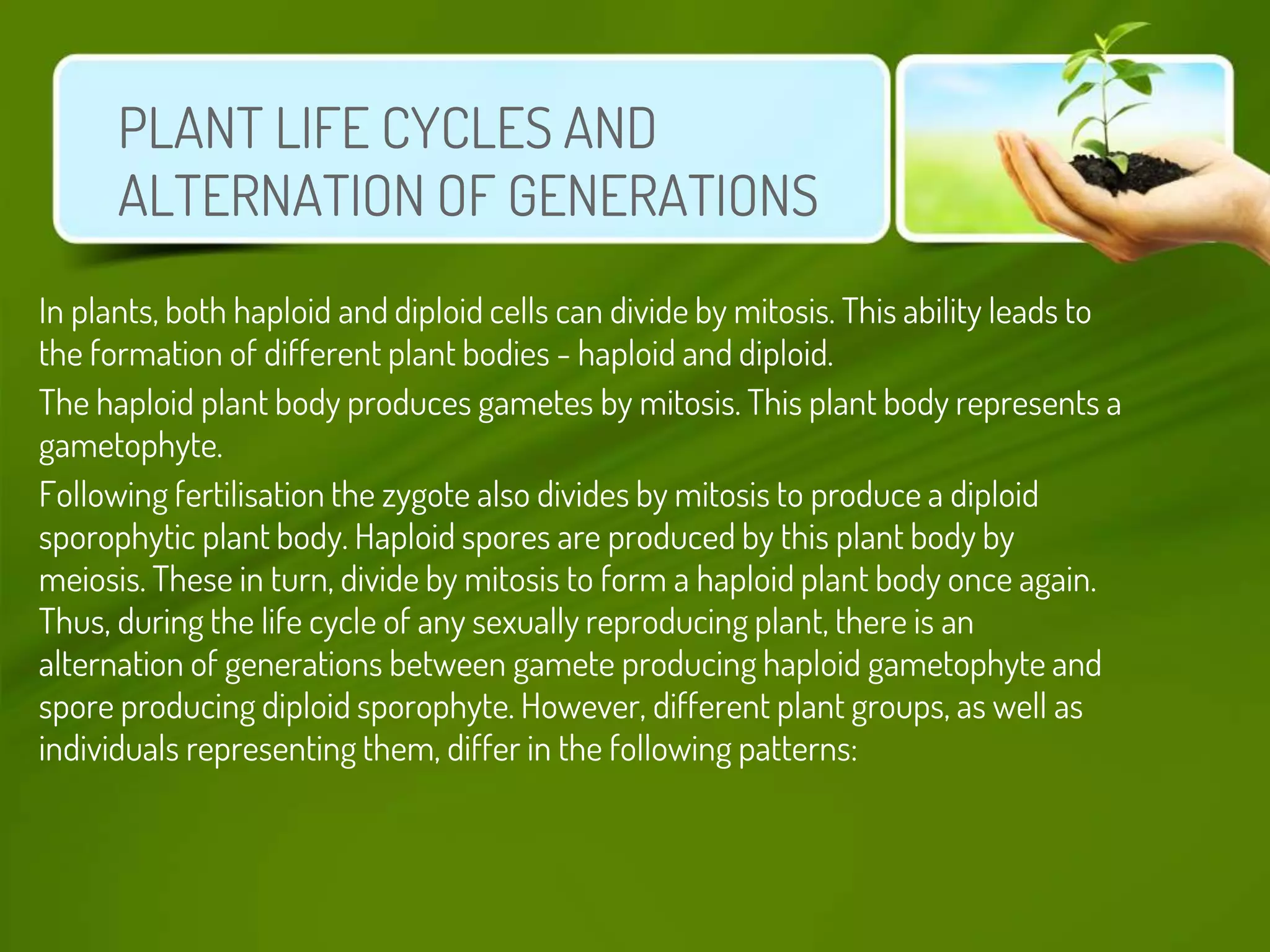 Grade 11 biology plant kingdom | PPTX