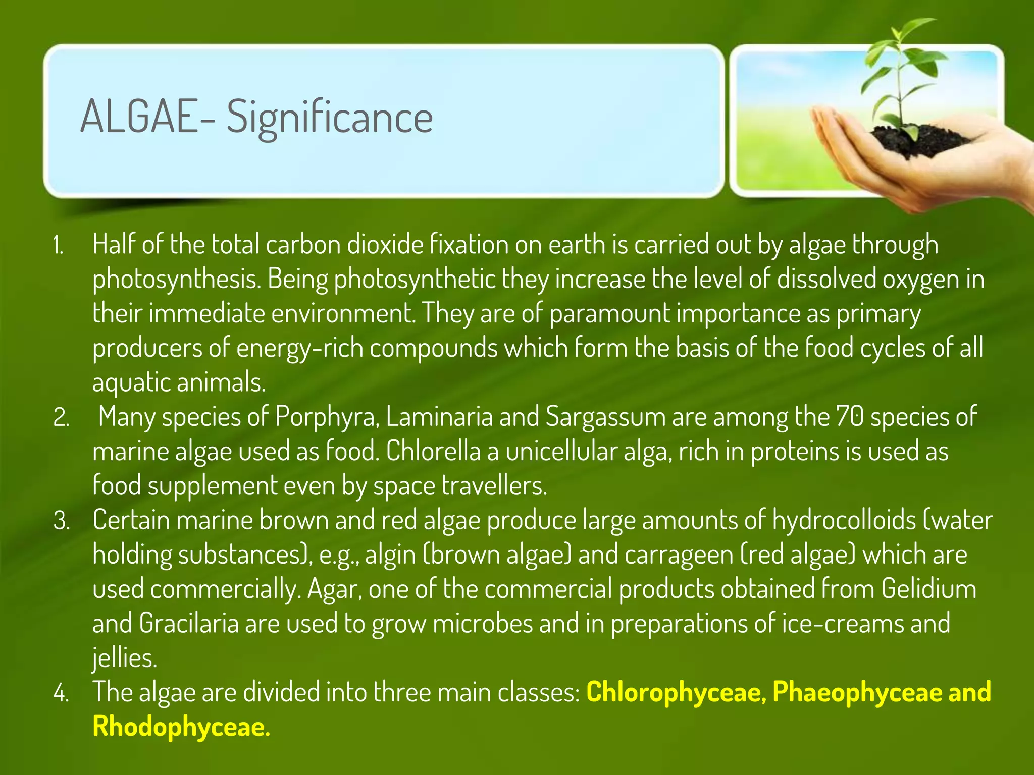 Grade 11 biology plant kingdom | PPTX