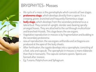 Grade 11 biology plant kingdom | PPTX