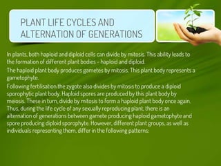 Grade 11 biology plant kingdom | PPTX