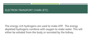 Grade 11 cellular respiration | PPTX