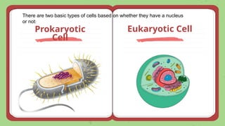 GRADE 11 Eukaryotic for educational porposes | PPTX