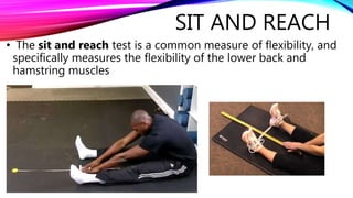 aerobic | PPTX
