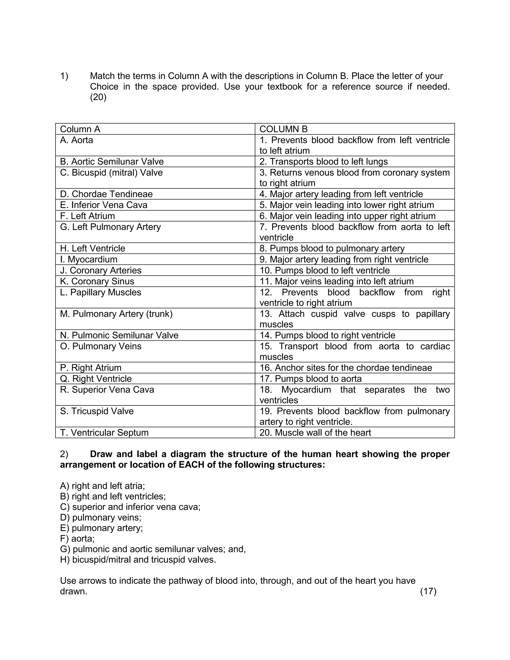 Grade11 life sciences practical task | DOCX