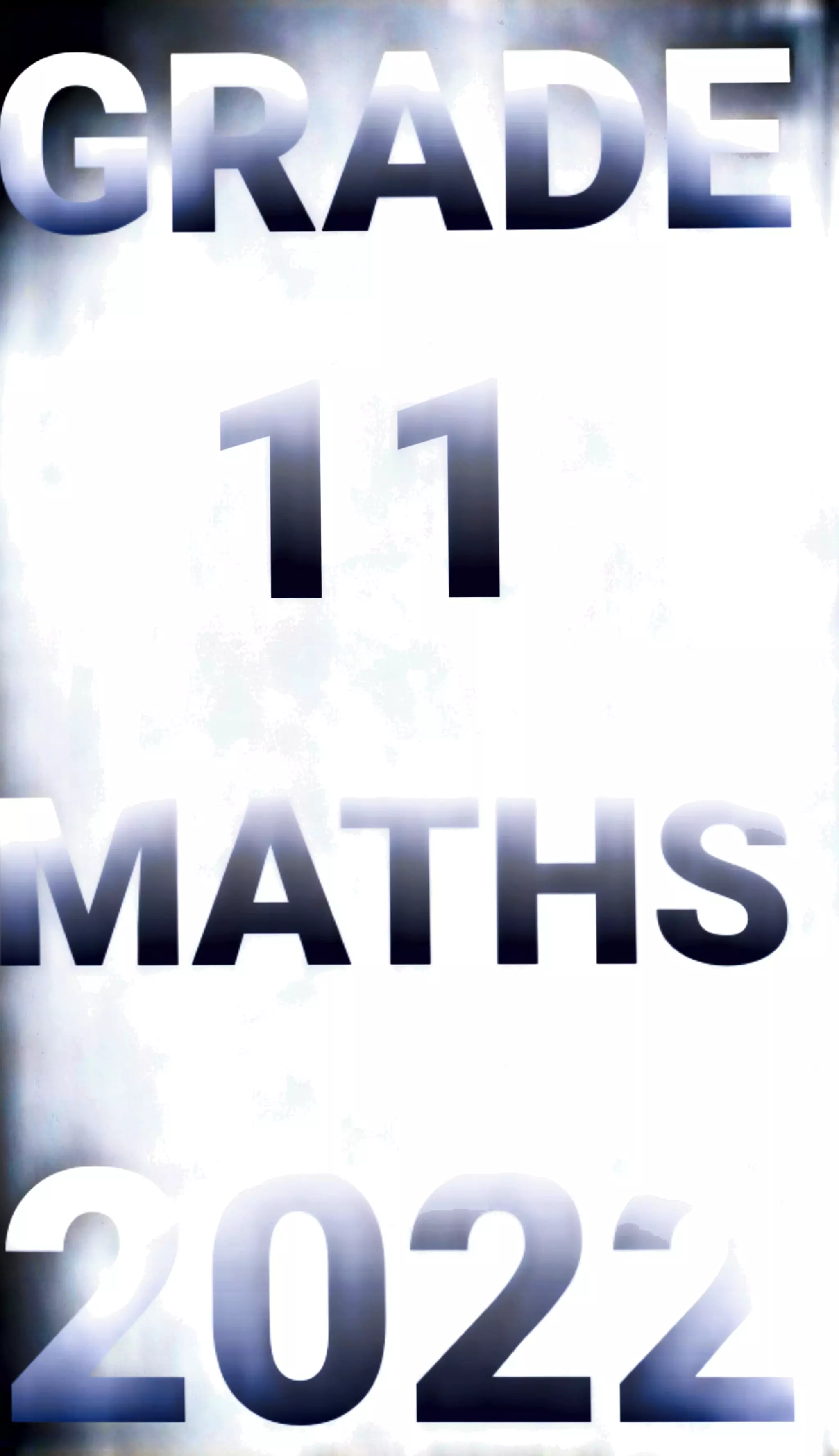 GRADE_11_MATHEMATICS__BY_NSQ.....pdf