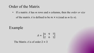 Types of Matrics | PDF