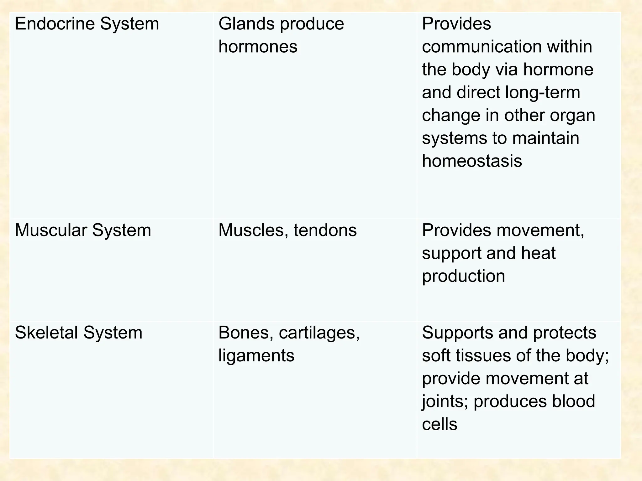 Grade 11 (Organ system of repreentative animals).pptx