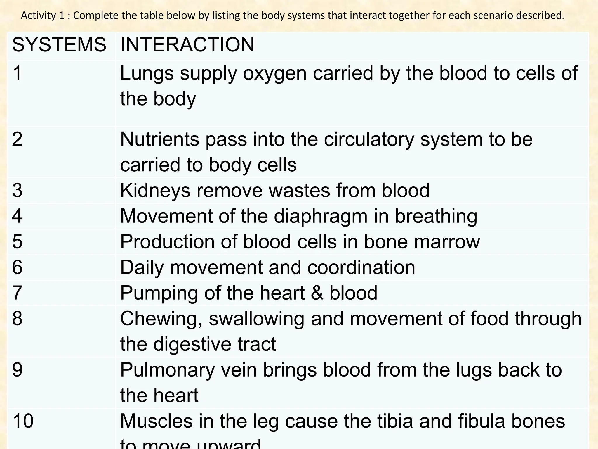 Grade 11 (Organ system of repreentative animals).pptx
