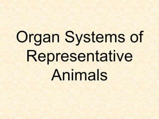 Grade 11 (Organ system of repreentative animals).pptx