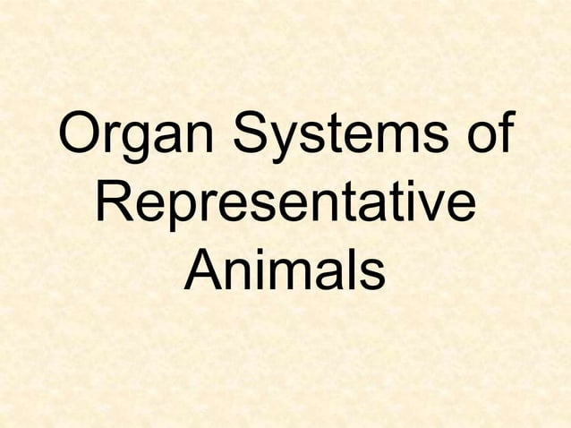Grade 11 (Organ system of repreentative animals).pptx