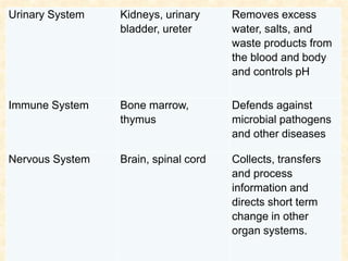 Grade 11 (Organ system of repreentative animals).pptx