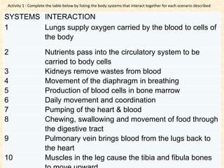 Grade 11 (Organ system of repreentative animals).pptx