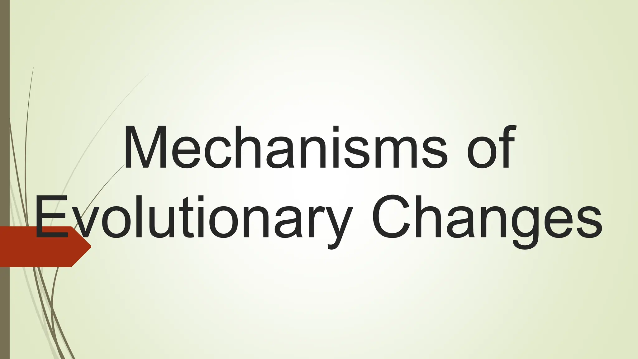 the process of evolution by charles darwin.pptx