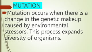 the process of evolution by charles darwin.pptx