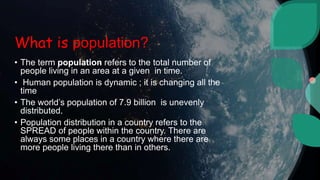 Grade 11 STUDENT - Population Distribution ,Density and Structure 3.pptx