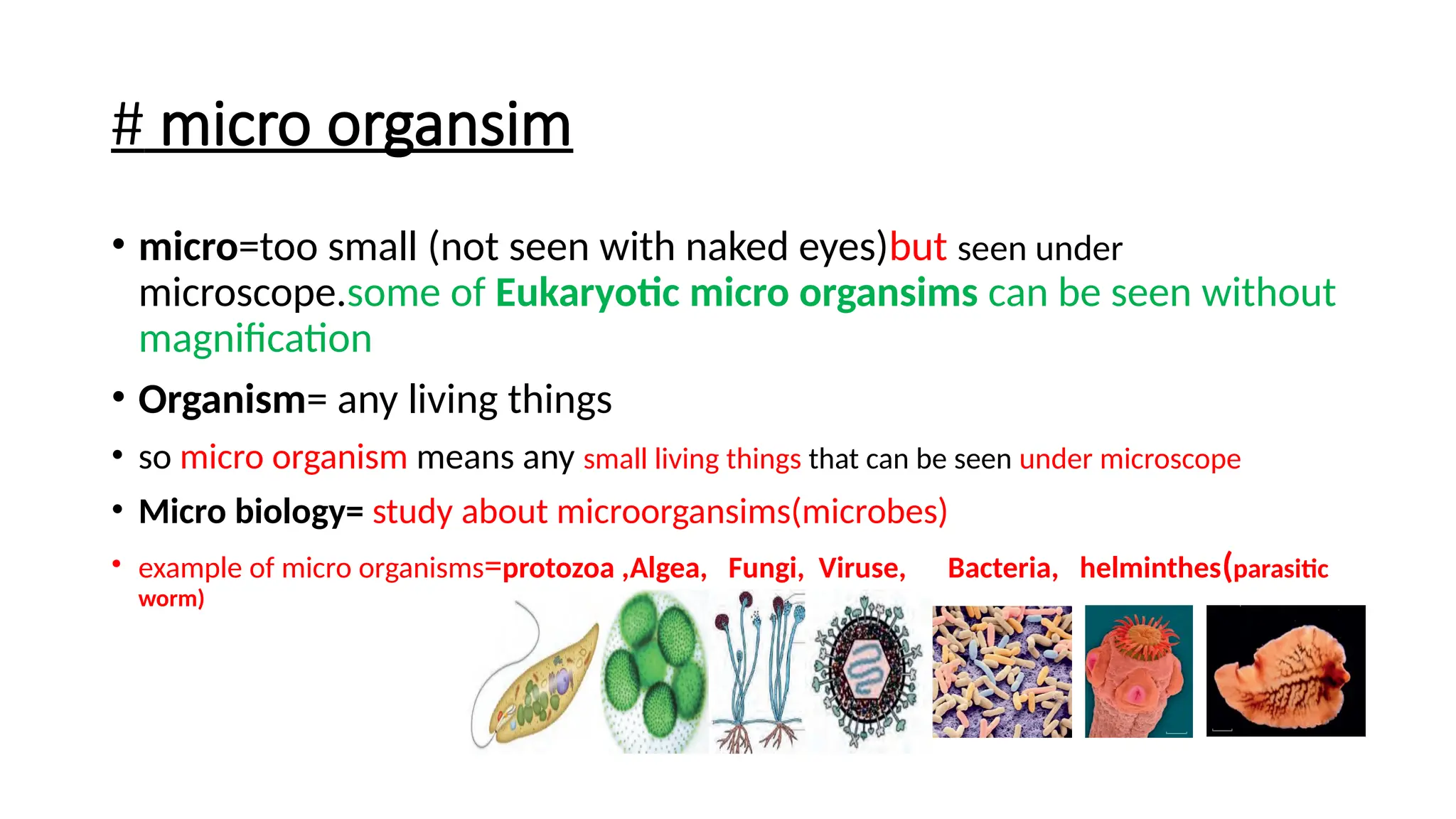 grade 12 biology short note for students.pptx