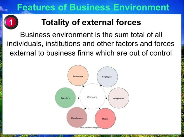 Grade 12 BS - Chapter 3 Business Environment.pptx | Green Solutions ...