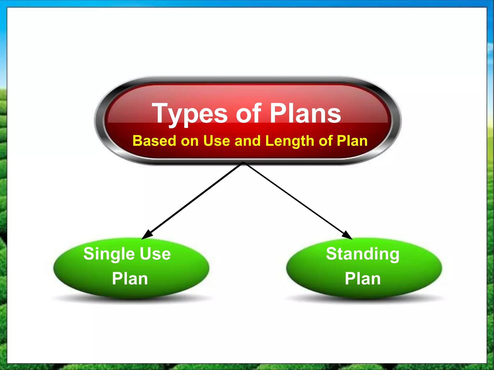 Grade 12 Chapter 4 Planning .pptx