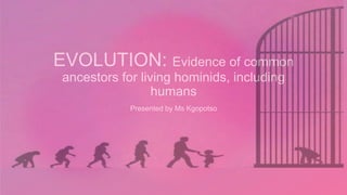 GRADE 12 HUMAN EVOLUTION.pptx
