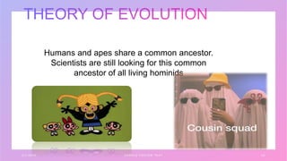 GRADE 12 HUMAN EVOLUTION.pptx