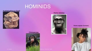 GRADE 12 HUMAN EVOLUTION.pptx