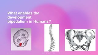 GRADE 12 HUMAN EVOLUTION.pptx