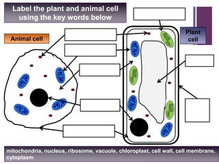 Grade 12 lesson 1 intro slideshare | PPTX