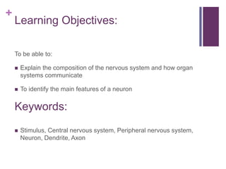 Grade 12 lesson 5 the nervous system | PPTX