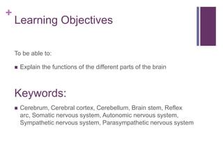 Grade 12 lesson 6 the brain and its functions | PPTX