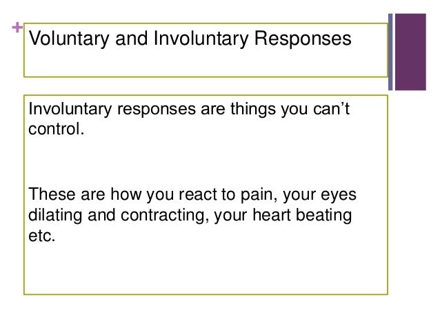 Grade 12 lesson 6 the brain and its functions