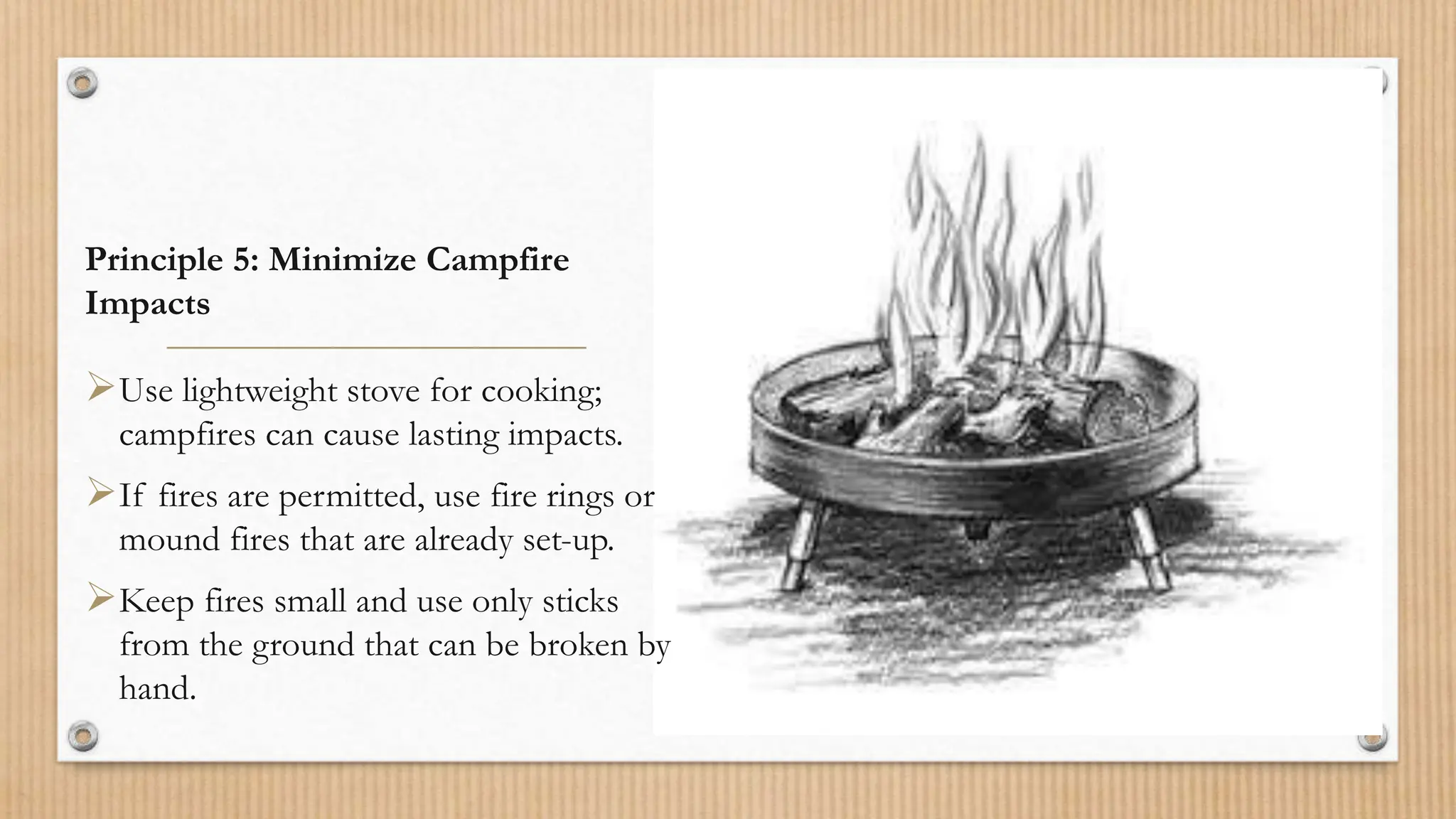 grade 12outdoor recreation module 1-2.pptx