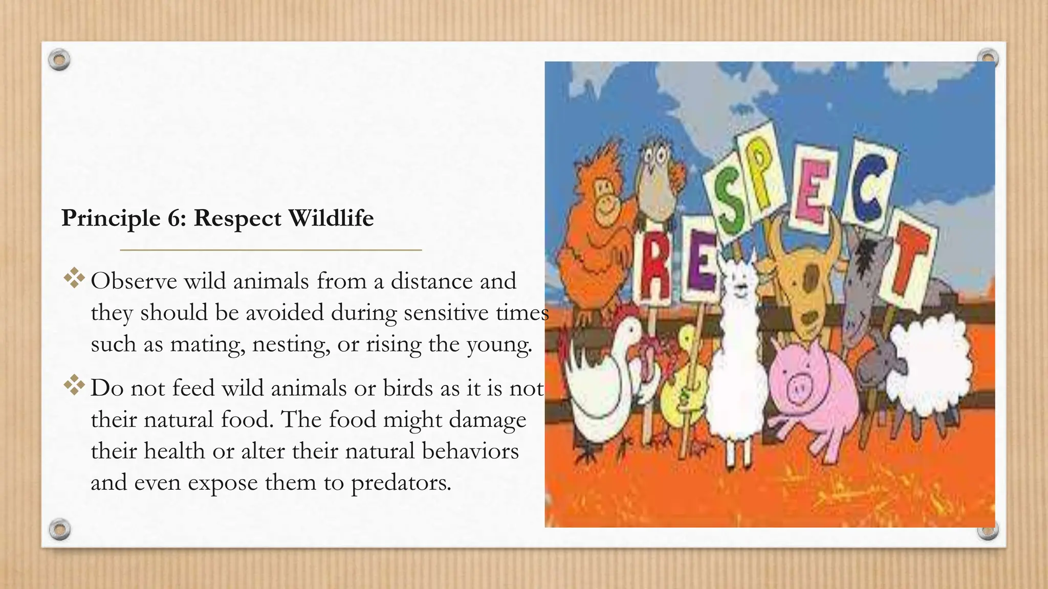 grade 12outdoor recreation module 1-2.pptx