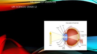 Grade 12 slide share | PPTX