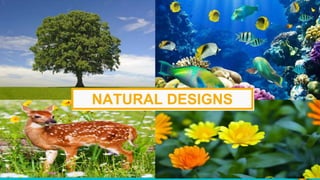 Grade 1 Finger painting and Nature Designs.pptx