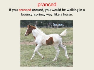 Grade 1 lesson 11 vocabulary powerpoint | PPT