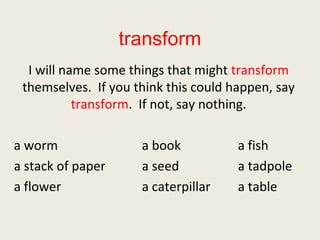 Grade 1 lesson 13 vocabulary powerpoint | PPT