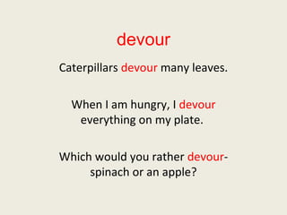 Grade 1 lesson 13 vocabulary powerpoint | PPT