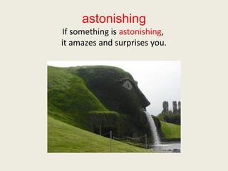 Grade 1 lesson 13 vocabulary powerpoint | PPT