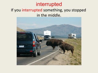 Grade 1 lesson 15 vocabulary powerpoint | PPT