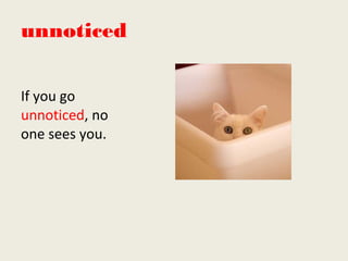 Grade 1 lesson 17 vocabulary powerpoint | PPT