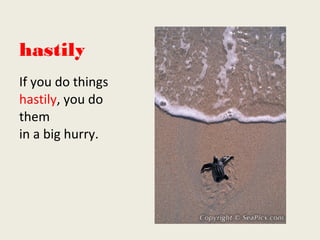 Grade 1 lesson 19 vocabulary powerpoint | PPT