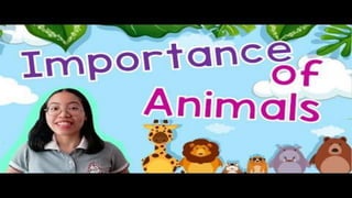 Grade 1 Lesson 2.4 Why Are Animals Important (1).pptx