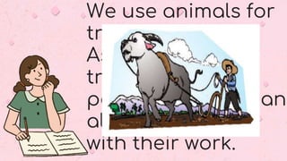 Grade 1 Lesson 2.4 Why Are Animals Important (1).pptx