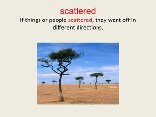 Grade 1 lesson 27 vocabulary powerpoint | PPT